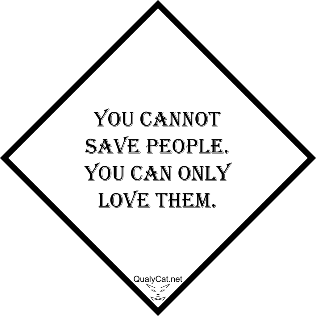 QualyCat – stylish wild